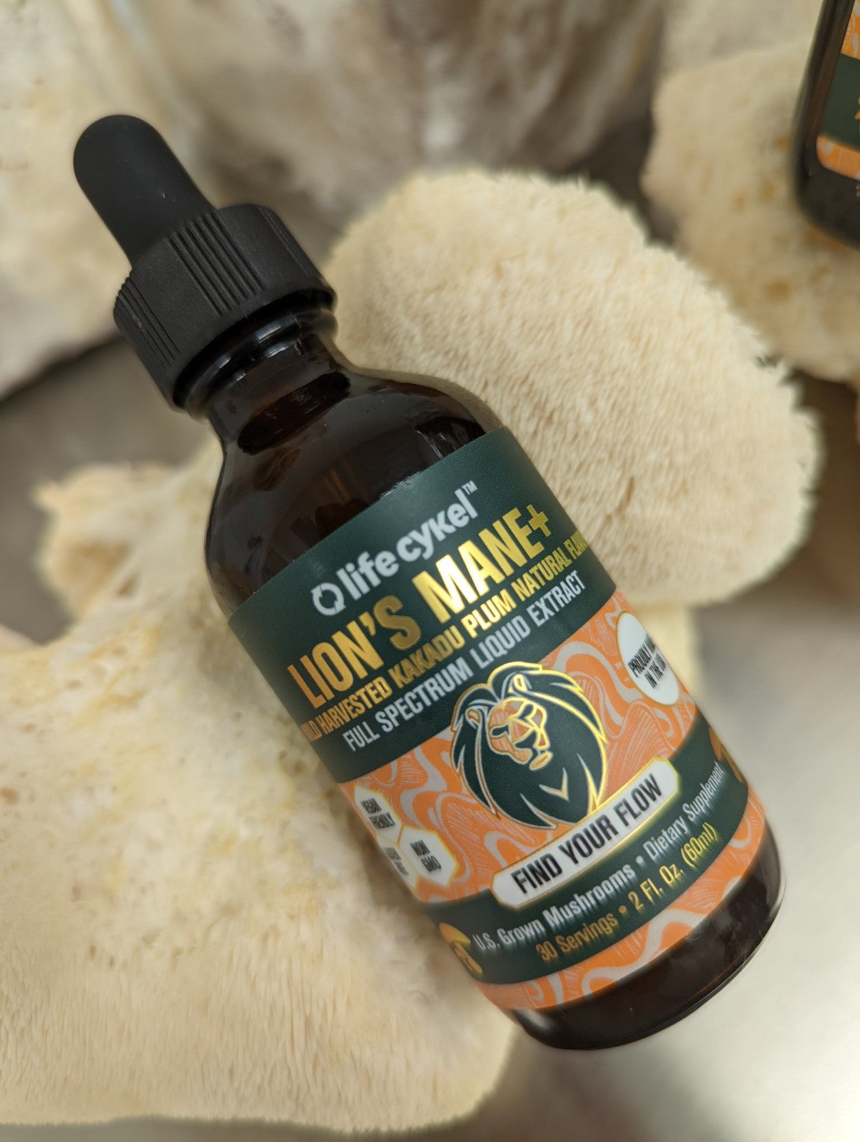 Biohacking light exposure for better health – Lifecykel US