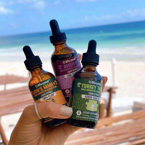 About us — Life Cykel US