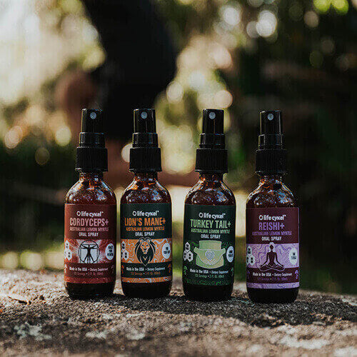 About us — Life Cykel US