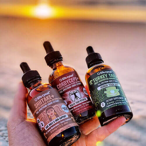 About us — Life Cykel US