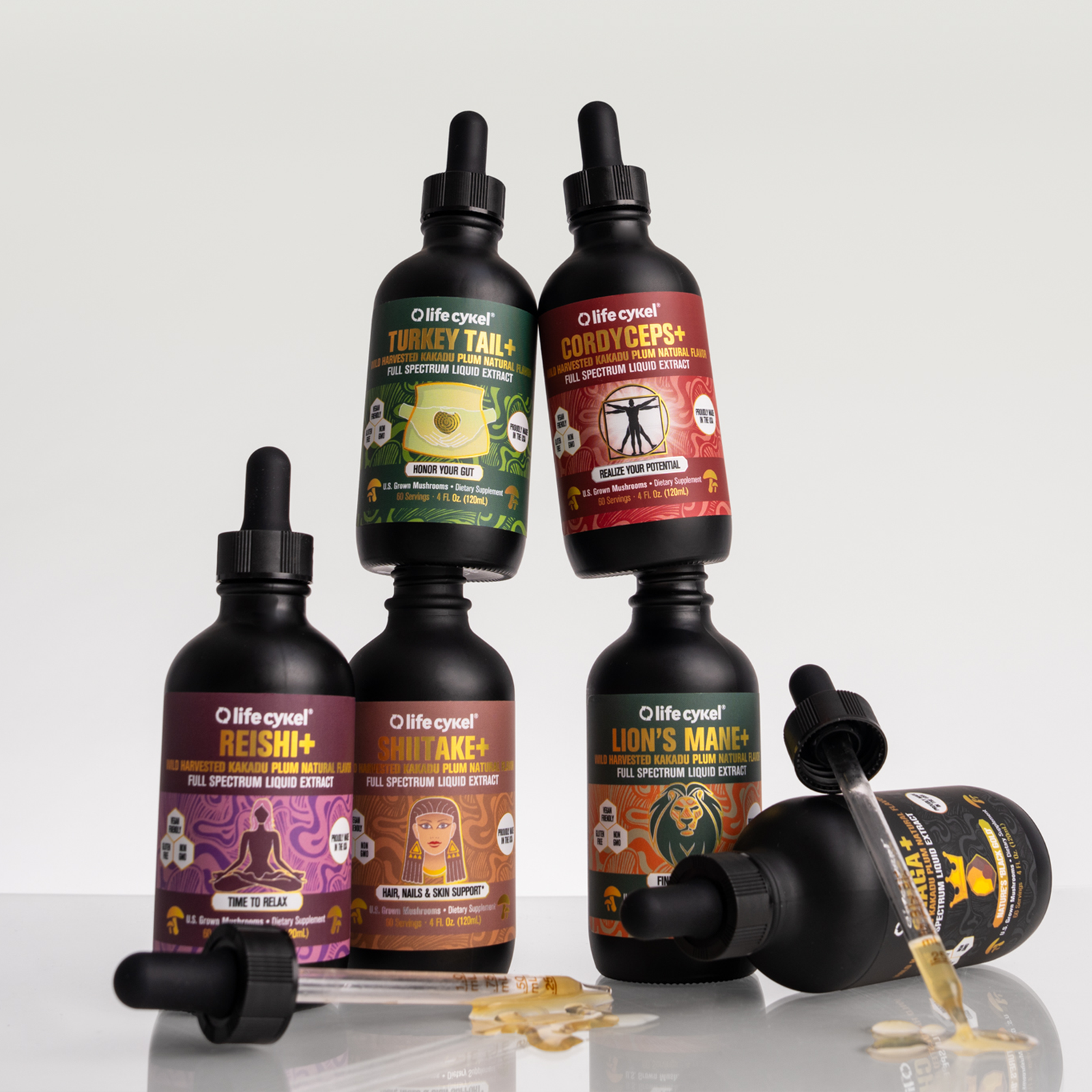 About us — Life Cykel US