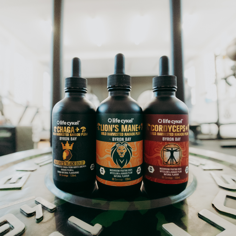 About us — Life Cykel US