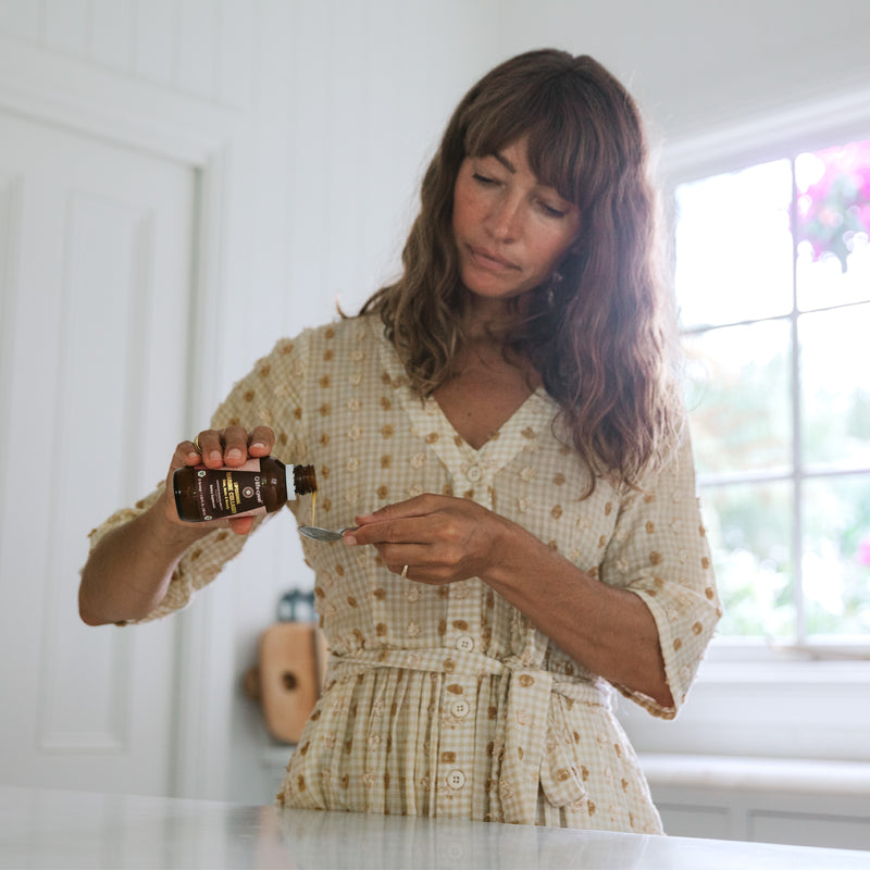 Mushrooms – Life Cykel US